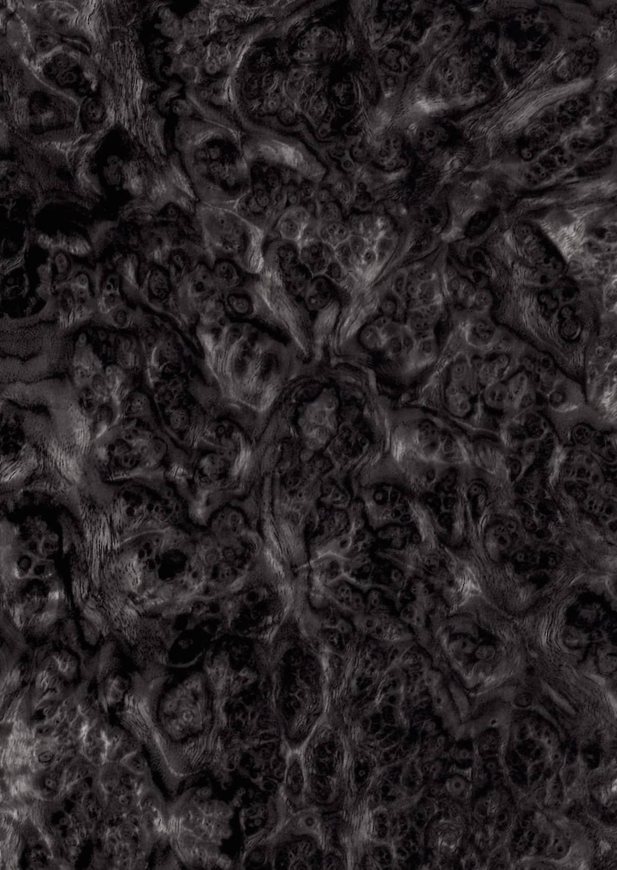 Black Walnut (50cm) - PA Hydrographics | Hydrographic Tanks, Dipping ...